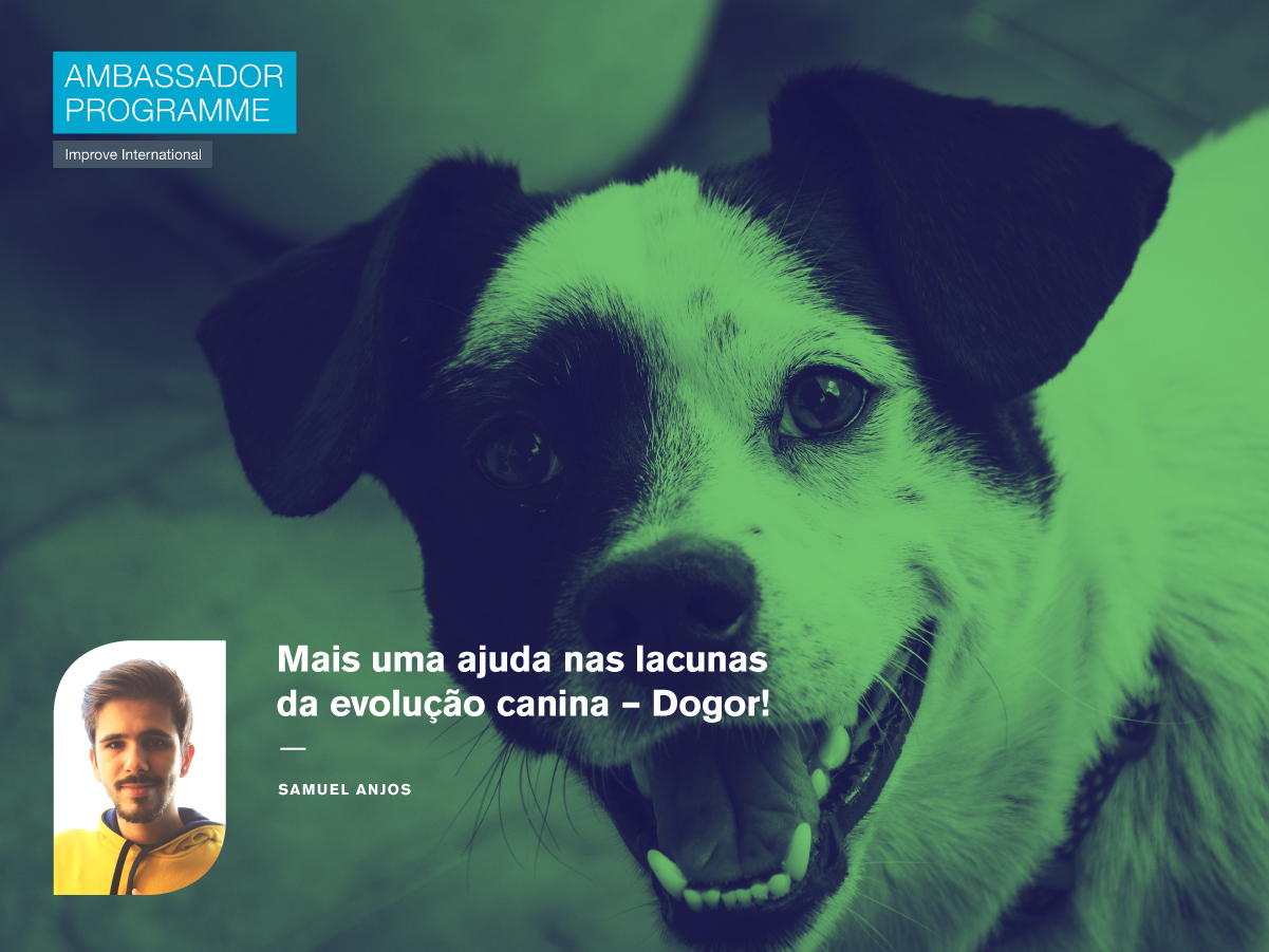Mais uma ajuda nas lacunas da evolução canina – Dogor! – Improve ...